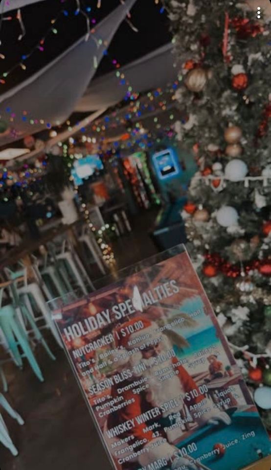 Dive into the Holidays ??️ The Dive Beach Bar Christmas Extravaganza ...