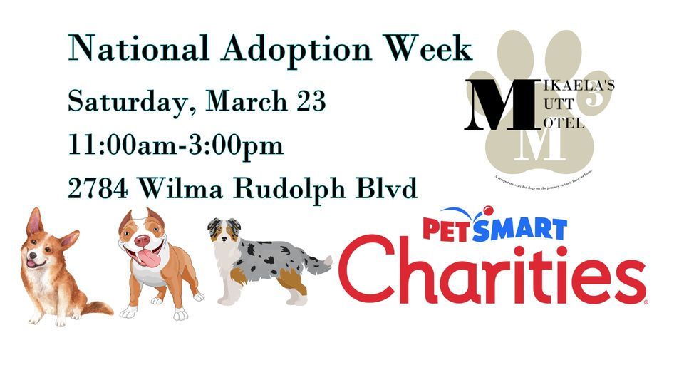 National Adoption Week Event, PetSmart (Clarksville, TN), 23 March 2024 ...