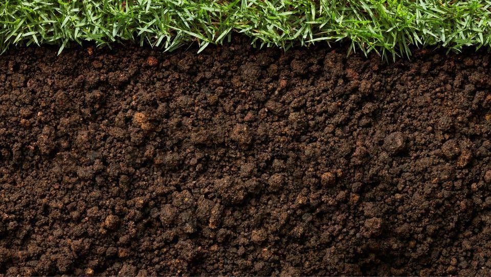 Dirty Diggers: Mud Pies & Soil Analysis, North Manchester Public ...