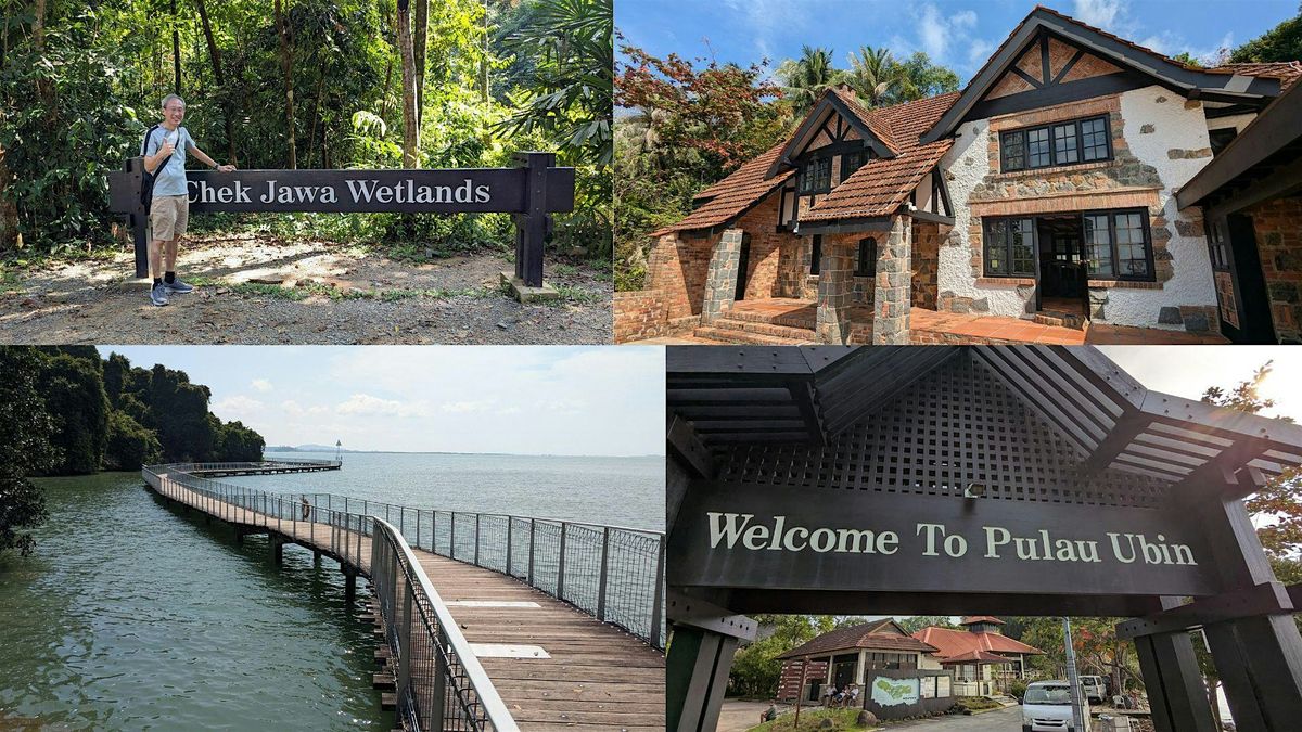 Walk to Chek Jawa Wetlands at Pulau Ubin, Changi Point Ferry Terminal ...