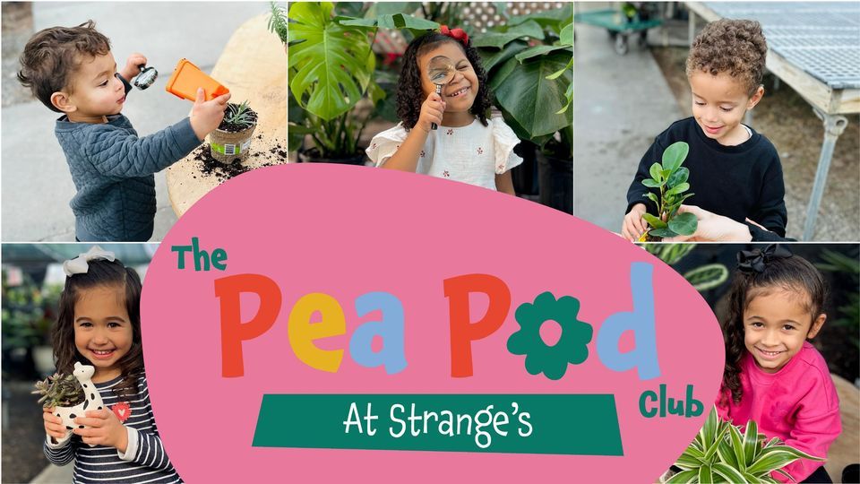 January Pea Pod Workshop: Grow Your Own Herb Garden, Strange's Florist ...