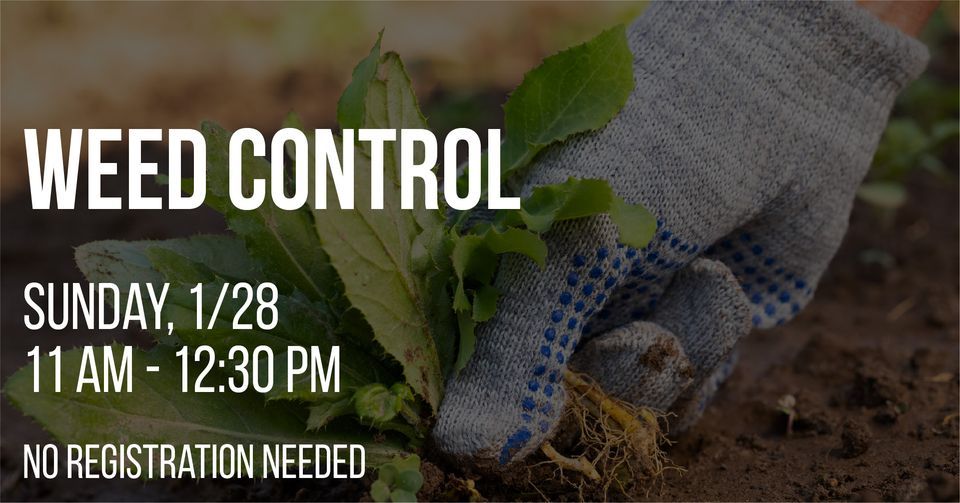 W**d Control, Strange's Florist, Short Pump, 28 January 2024 | AllEvents.in