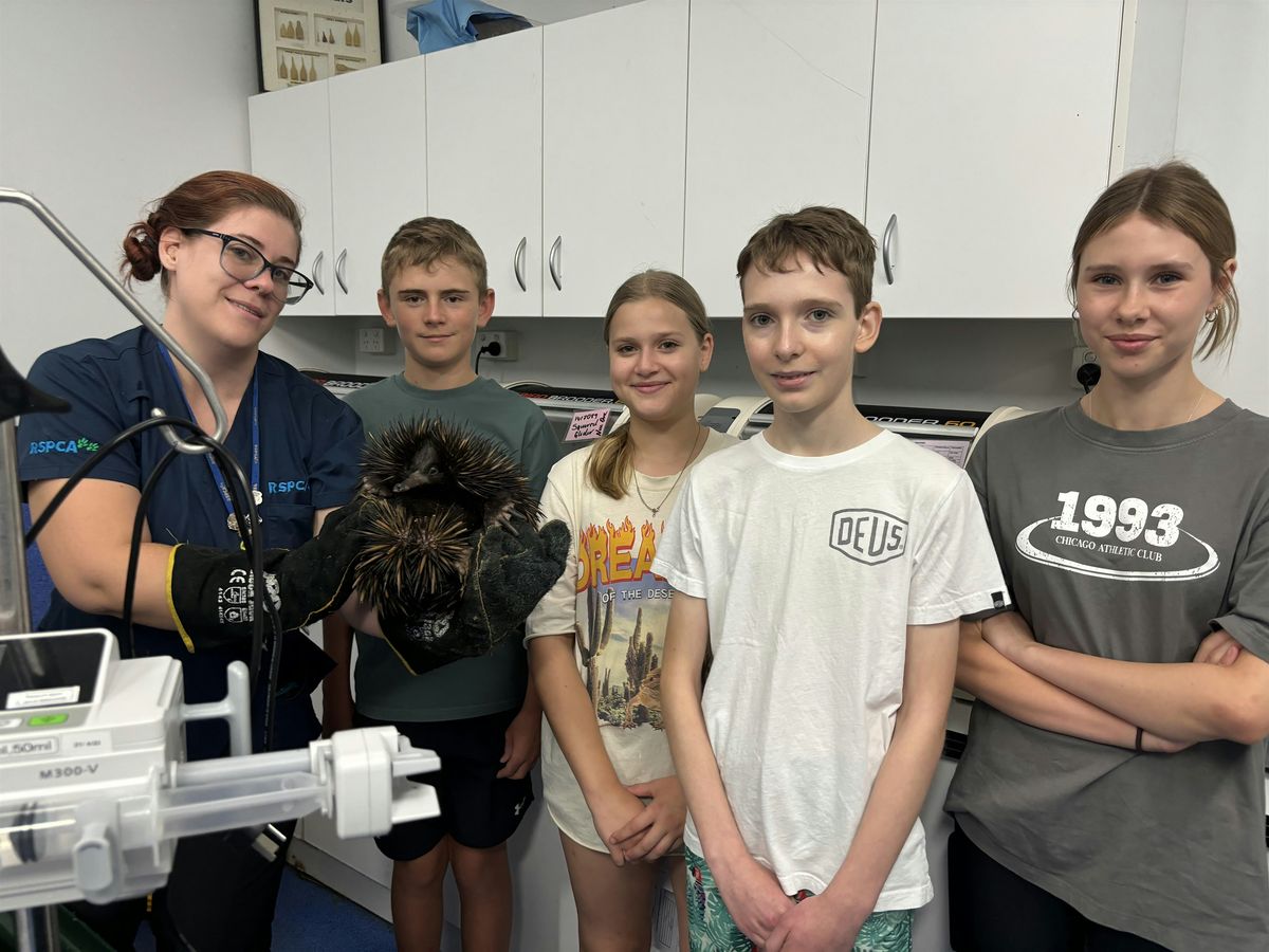 RSPCA Wacol School Holiday Program - December 2025, January 2026, RSPCA ...