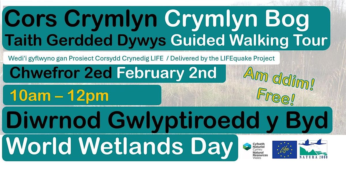 World Wetlands Day - February 2nd / Diwrnod Gwlyptiroedd y Byd ...