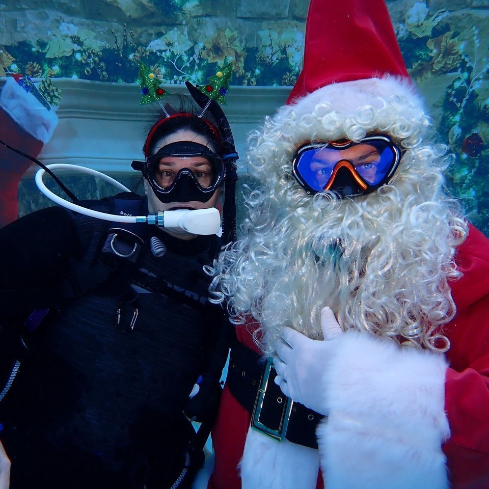 Underwater Santa Photos w/ Fins Up Scuba, Fins Up Scuba, Phoenix, 3 ...