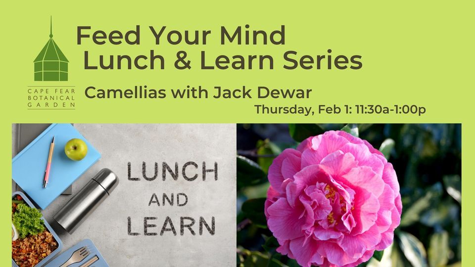 Camellias with Jack Dewar: Feed Your Mind Lunch & Learn at CFBG, Cape ...