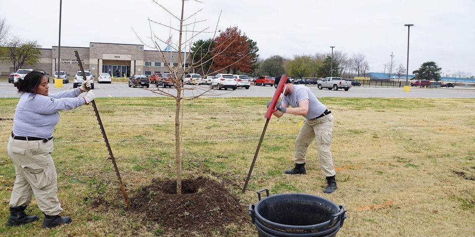 Community Tree Planting at M.L.K. Jr. Boulevard & 36th Street North ...