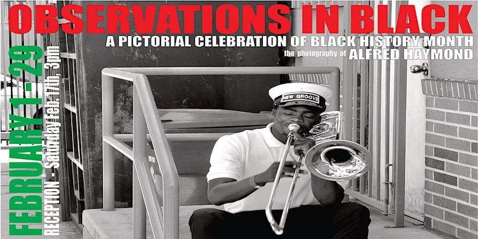 Observations in Black - a Pictorial Celebration of Black History Month ...