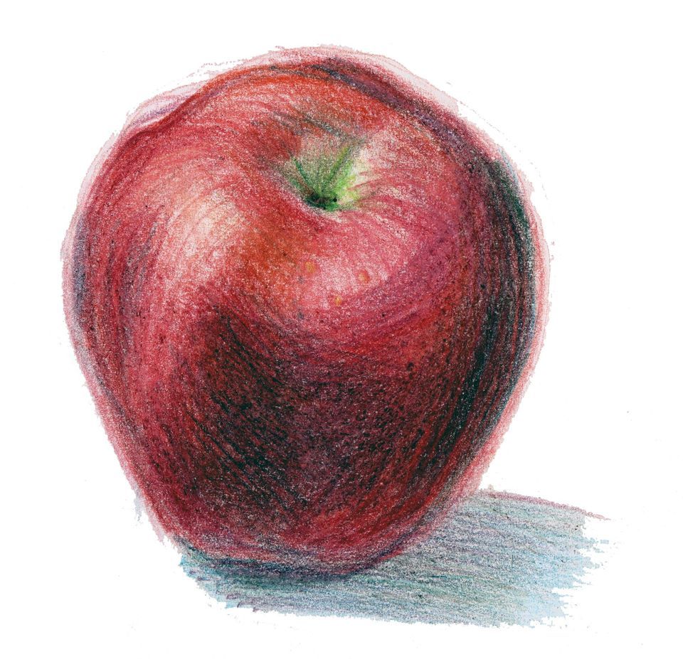 Still Life Drawing for Kids, 134 Oats Street, Perth, WA, Australia, 26 ...