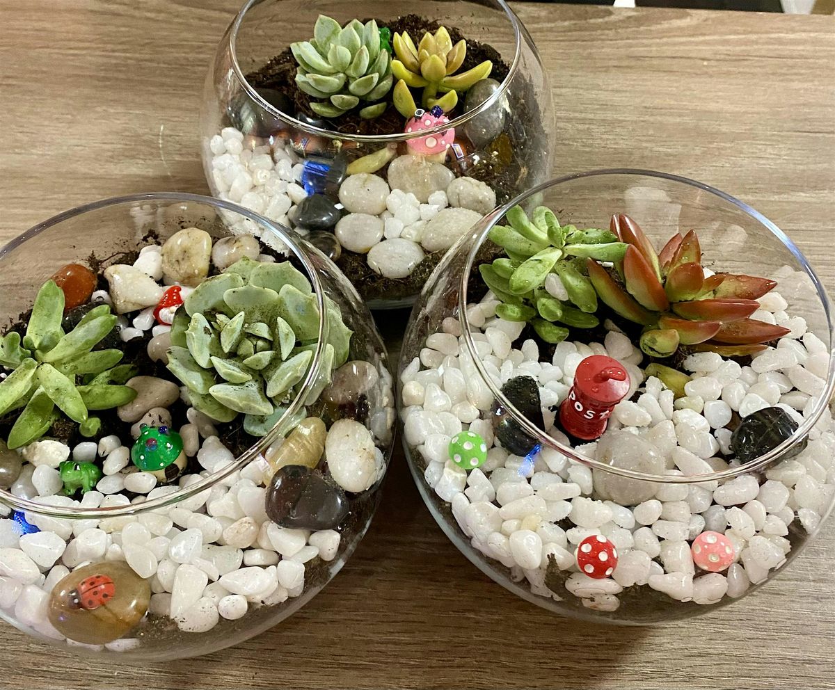 Saturday Succulent Terrarium Night at Alley Kat Artisans, Alley Kat ...