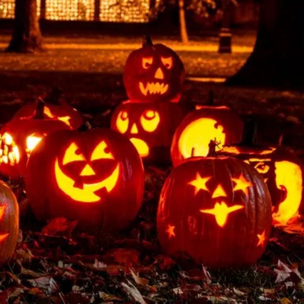 Pumpkin Carving, Sandbar Withington, Manchester, 28 October 2025 ...