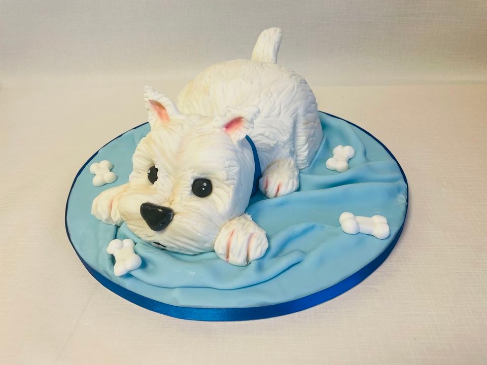 Carved Novelty Cake Course - Digby the Dog, Celebration Cakes by ...