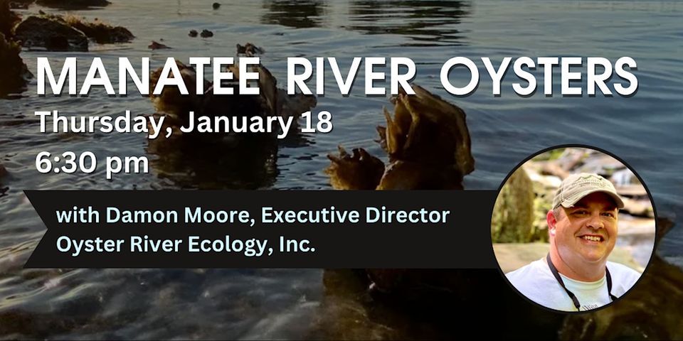 Manatee River Oysters Presentation by Damon Moore, Bay Preserve - 400 ...