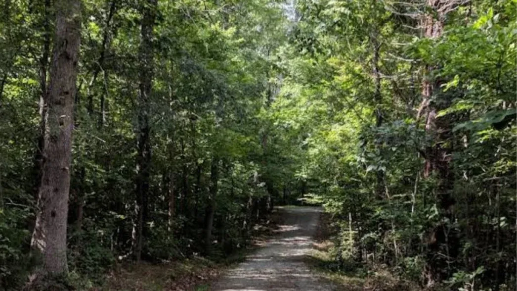 Caminata y Conversación! - Duke Forest Gate 26, Duke Forest Gate 26 ...