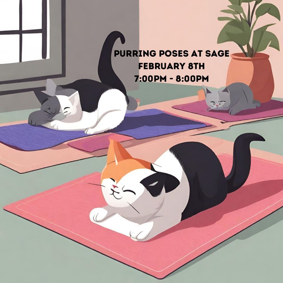 Purring Poses, Sage Bodywork and Wellness, Joliet, 8 February 2024 ...