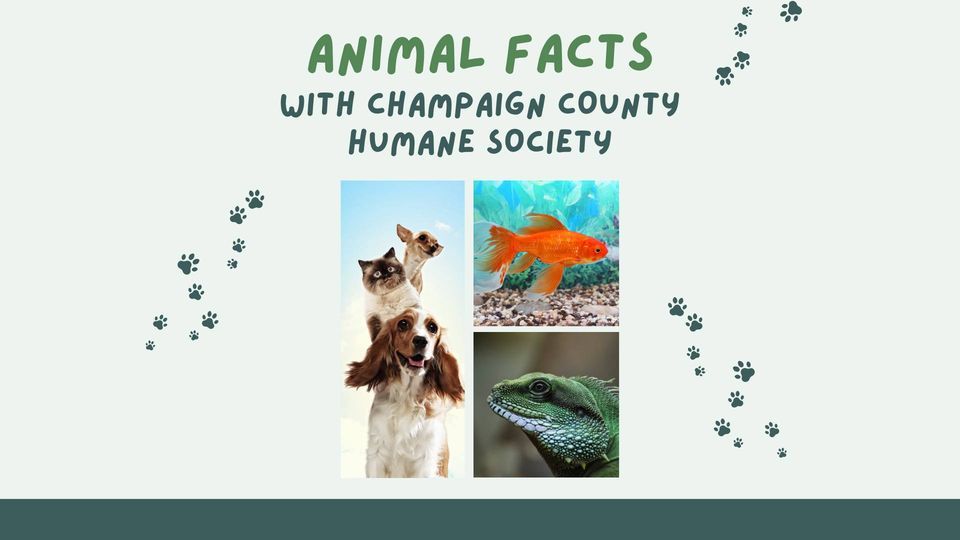 Animals Facts with Champaign Co. Humane Society, Tolono Public Library ...