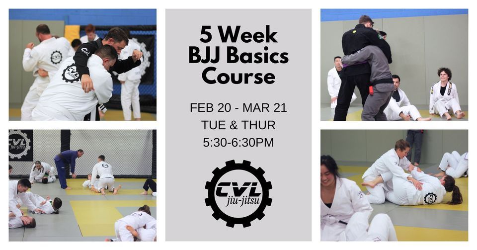 5 Week BJJ Basics Course: Feb 20 - Mar 21, Charlottesville Brazilian ...
