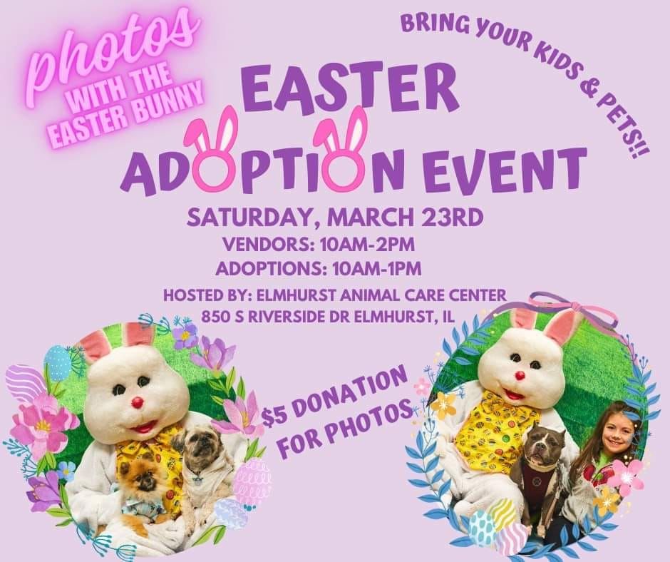 Easter Adoption Event, Elmhurst Vet, 23 March 2024 | AllEvents