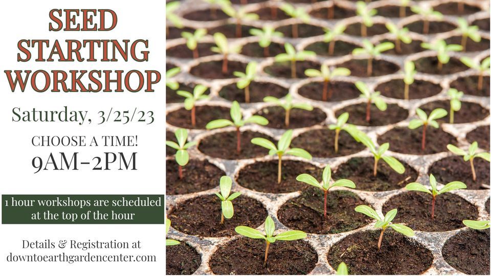 Seed Starting Workshop, Down to Earth Garden Center, Eau Claire, 25 March 2023 | AllEvents.in