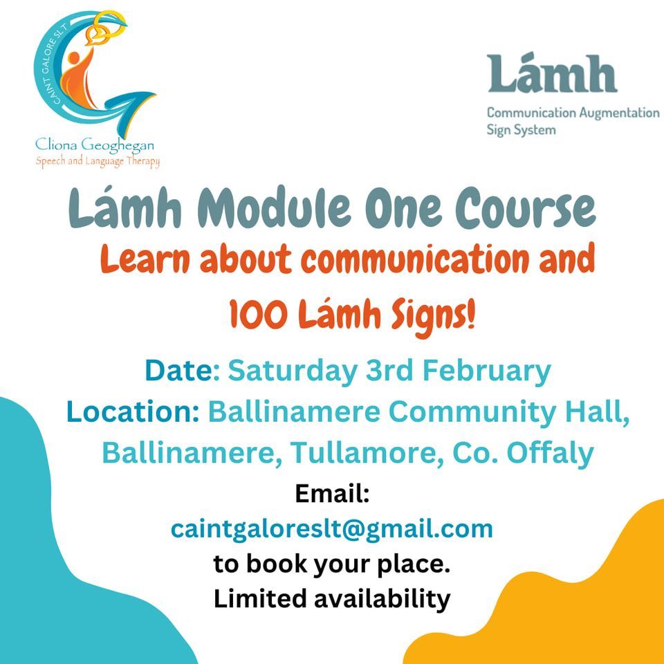 Lamh Module One Course, Tullamore, Offaly, Ireland, 3 February 2024 ...