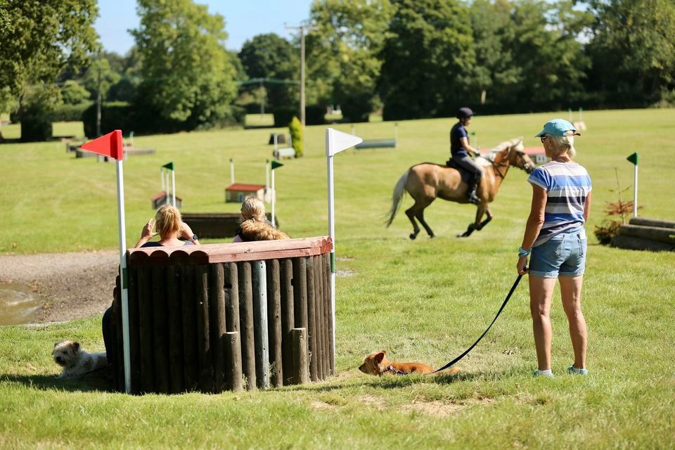 Eventers Practice Day , Lodge Farm cross-country course, Tonbridge ...