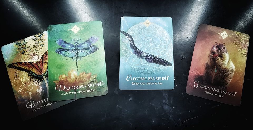 Oracle Card Readings by Sarahs Divinely Connected, Willow Moon Crystals ...