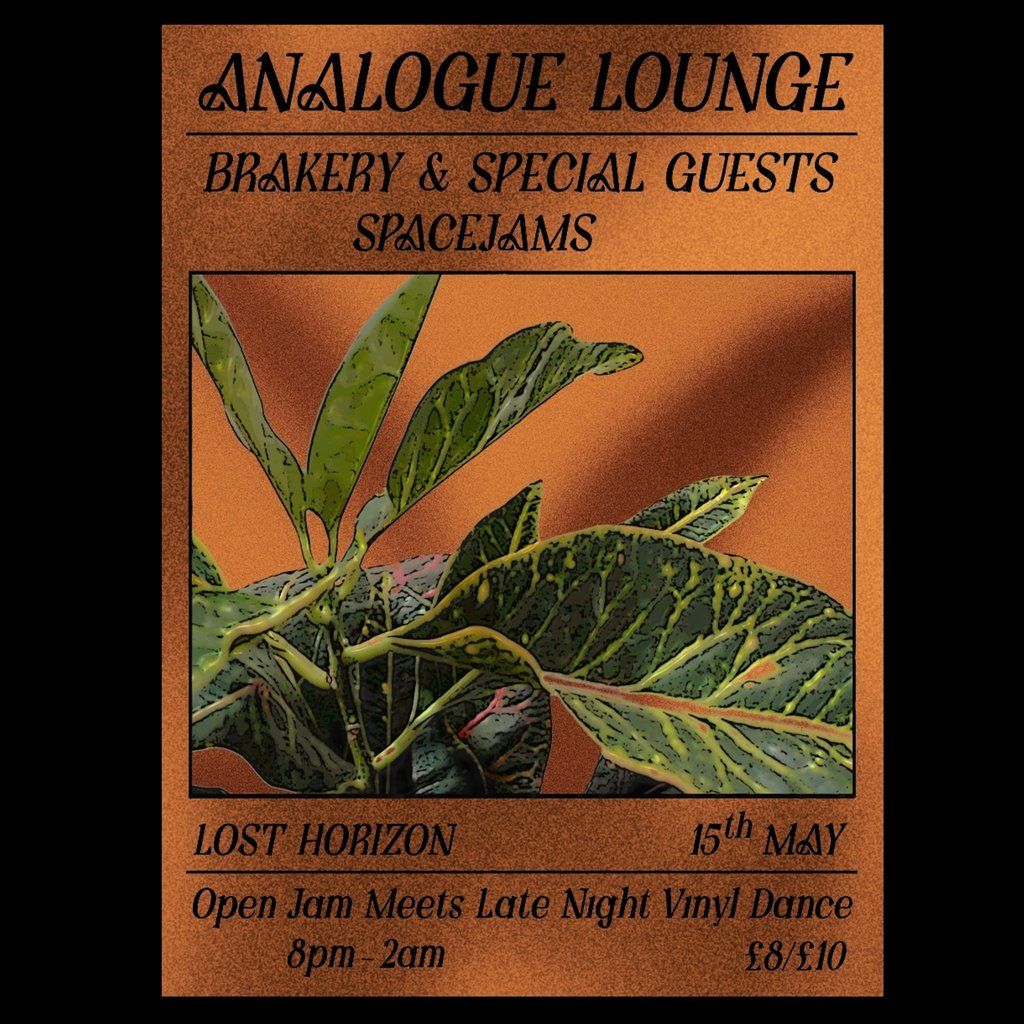 Analogue Lounge w/ Special Guests, Lost Horizon HQ, Bristol, 15 May to ...
