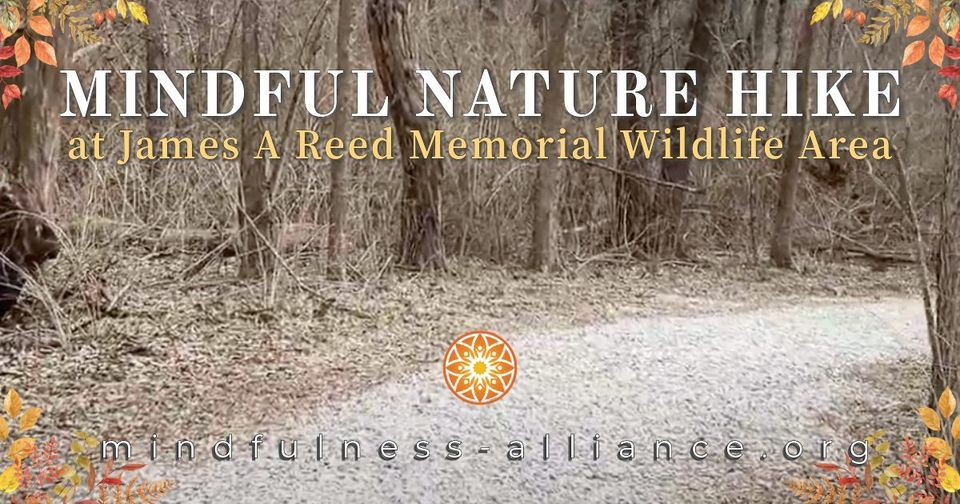 Mindful Nature Hike and Meditation at James A Reed Memorial Wildlife ...