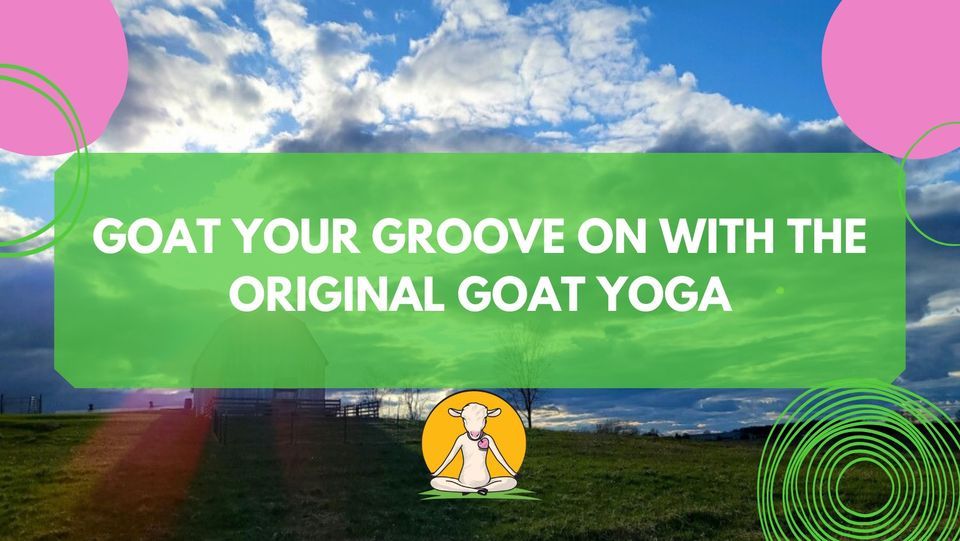 Goat Your Groove On with the Original Goat Yoga, Original Goat Yoga MI ...