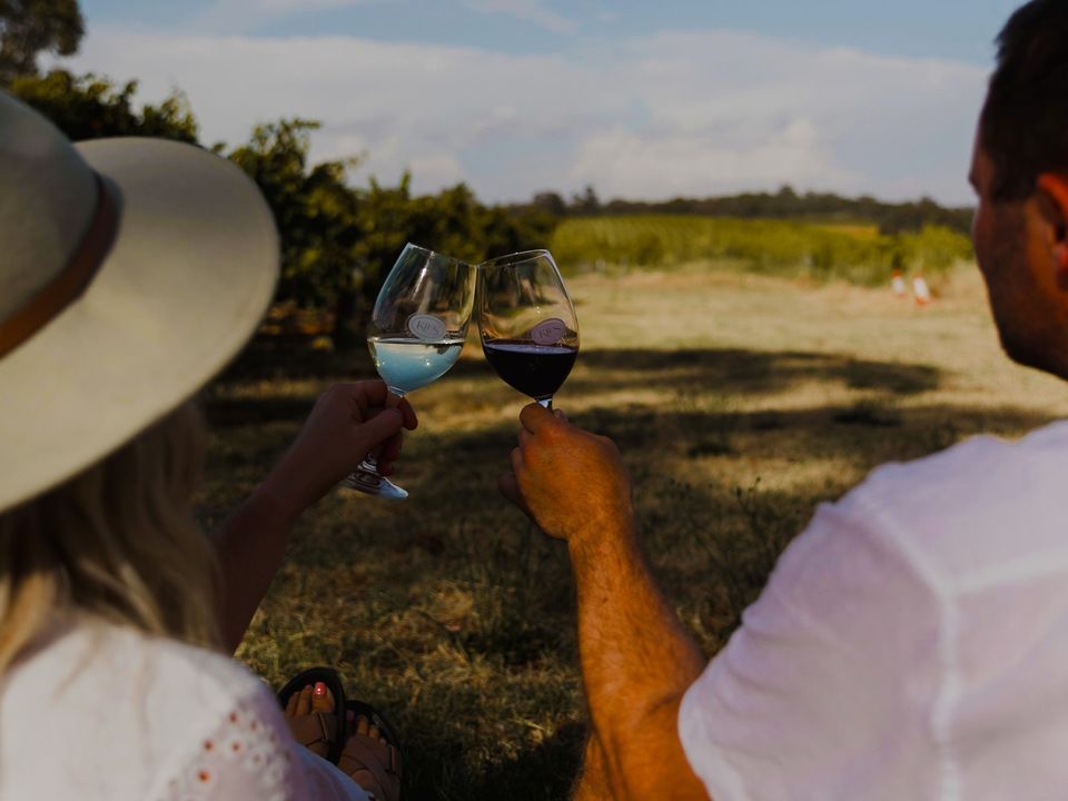 Live Music at Monkey Nut Cafe, 1303 Barossa Valley Way Lyndoch, SA ...