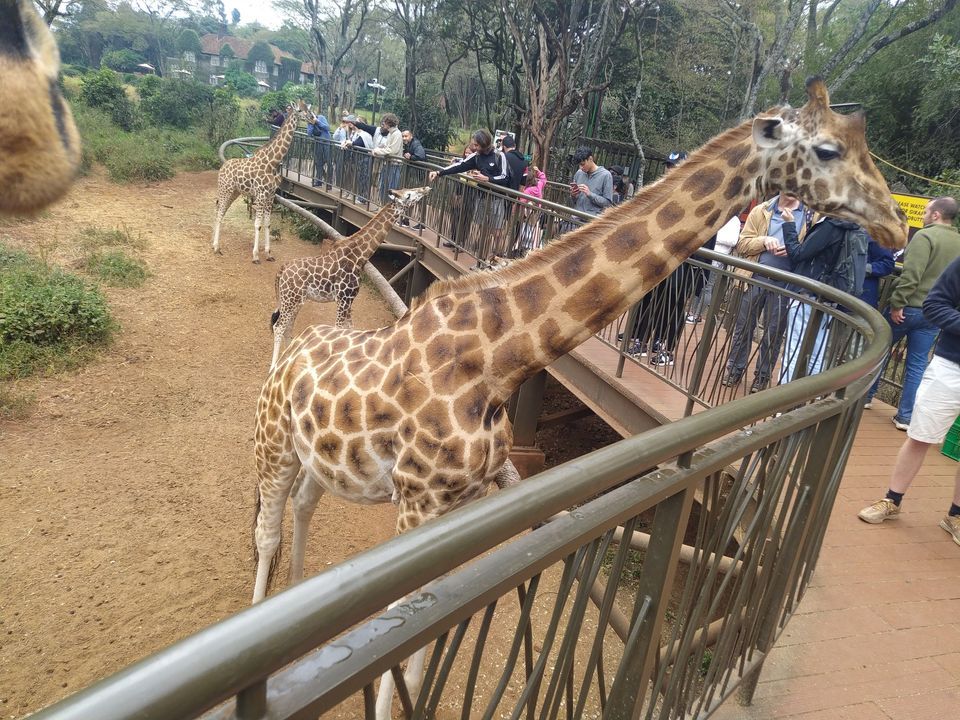 Four Scoops with special guest Chris Tanner, Bar Open, Brunswick, 22 ...