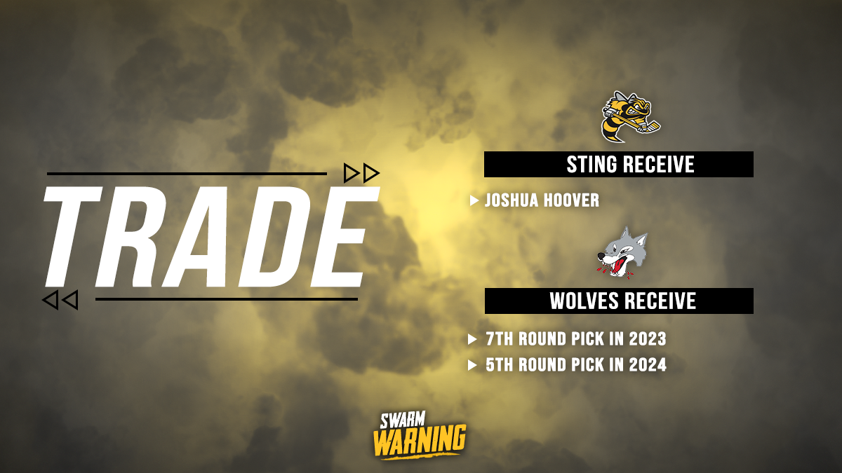 Sudbury Wolves at Sarnia Sting, Progressive Auto Sales Arena, Sarnia ...