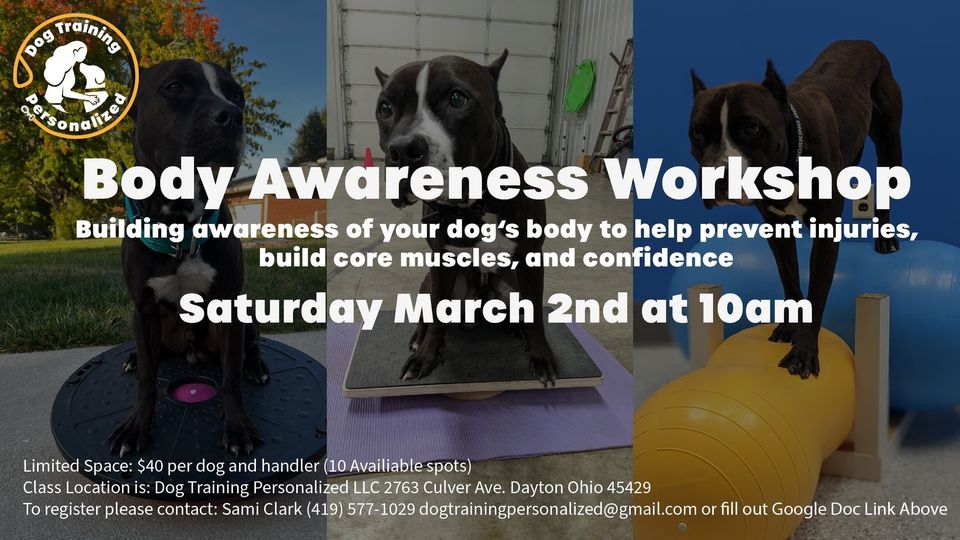 K9 Body Awareness Workshop!, 2763 Culver Ave, Dayton, OH, Kettering, 2 ...
