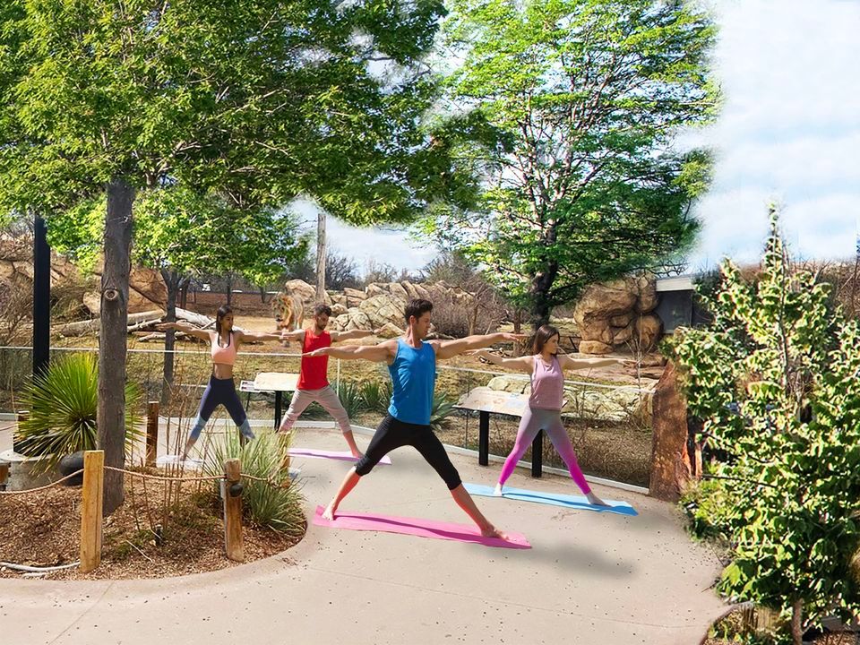 Wild Workouts at Denver Zoo, Denver Zoo, 14 May 2023 | AllEvents.in