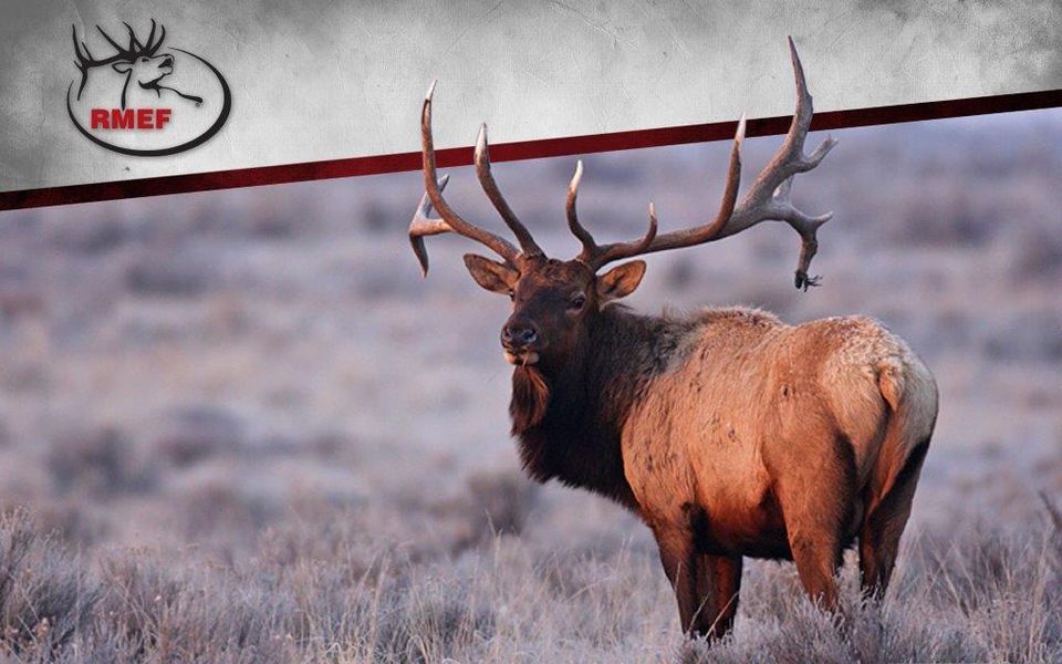 Farmington RMEF Banquet, Farmington Civic Center, 23 February 2024 ...