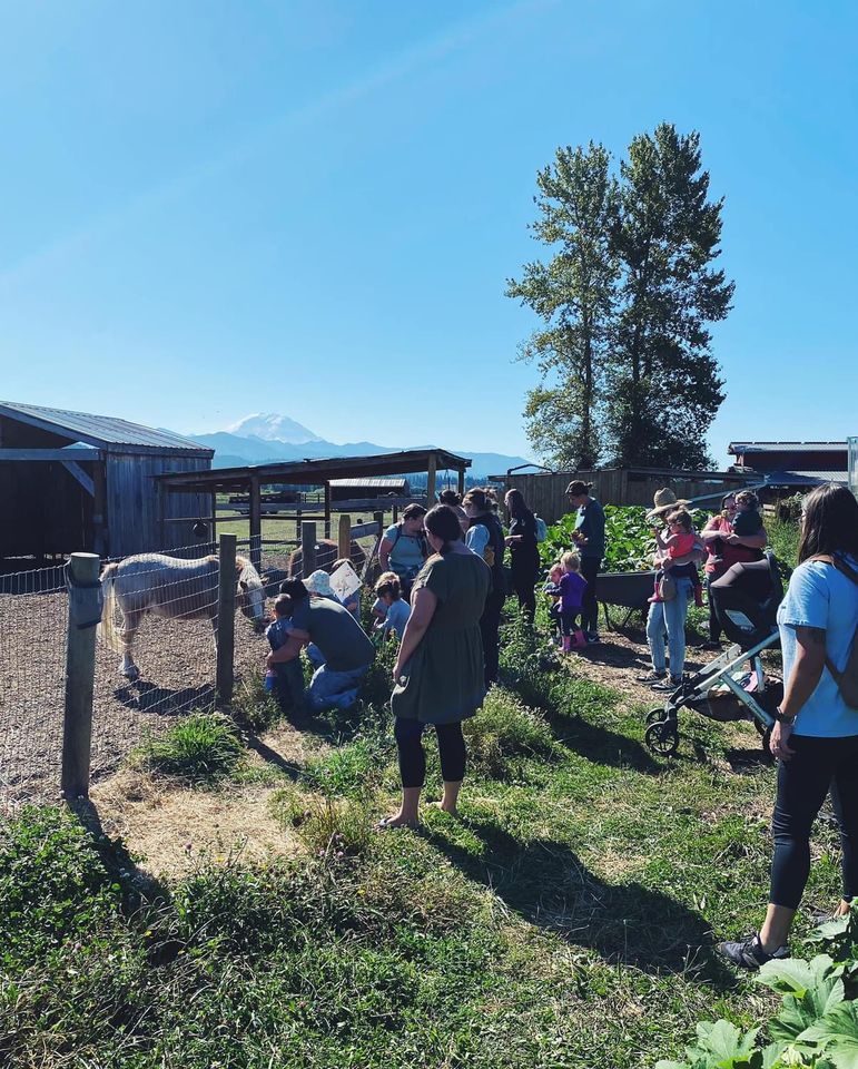 Mason Jar Farm School Tour, The Mason Jar Farm, Enumclaw, 23 March 2024 ...