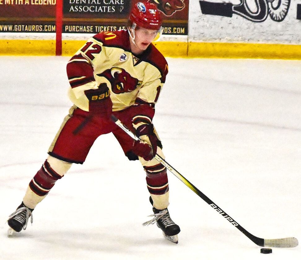 Minot Minotauros Vs Austin Bruins Maysa Arena Minot Allevents In
