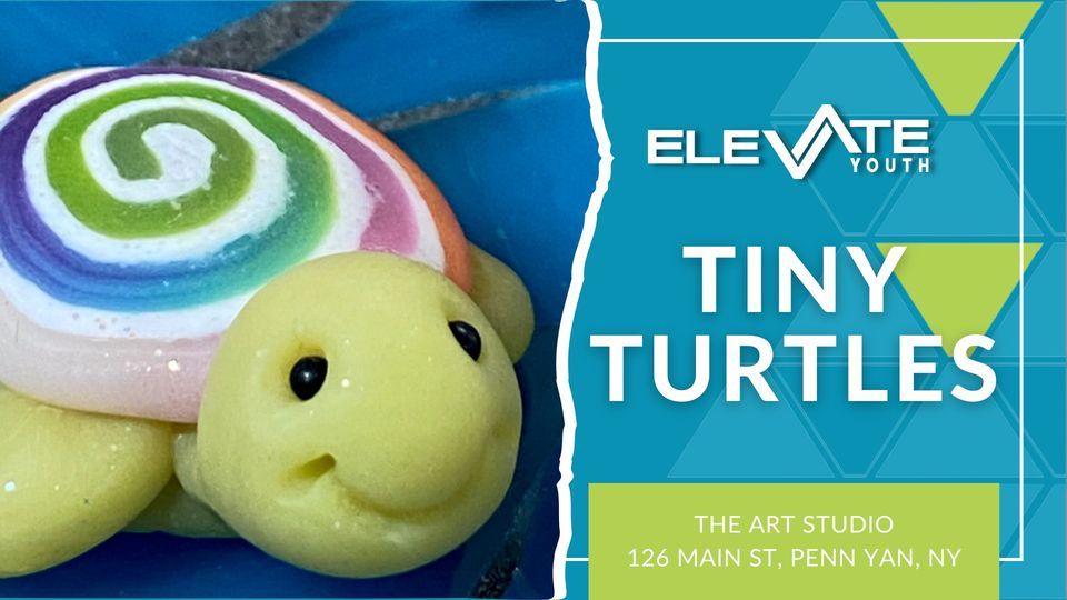 ELEVATE Youth Tiny Turtles, The Art Studio 126 Main, Penn Yan, February ...