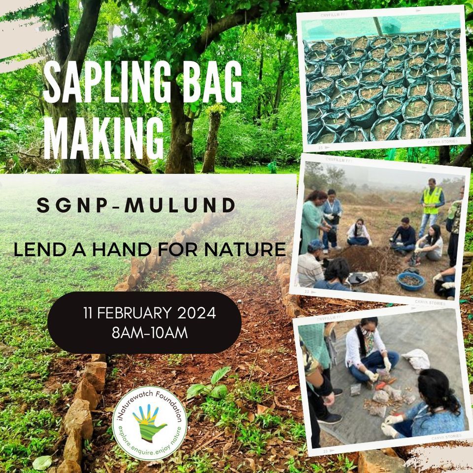 Sapling Bag Making at SGNP-Mulund, SGNP, Mumbai, 11 February 2024 ...