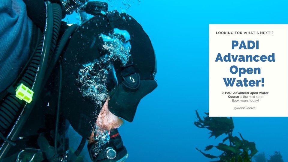 Premium PADI Advanced Open Water Course, Waiheke Dive and Snorkel ...
