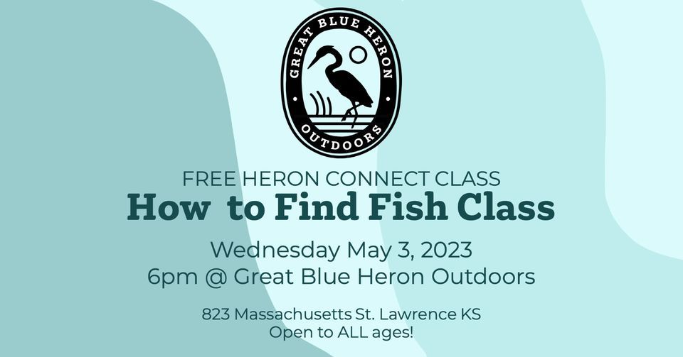 How to Find Fish Class, Great Blue Heron Outdoors, Merriam, 3 May 2023 ...