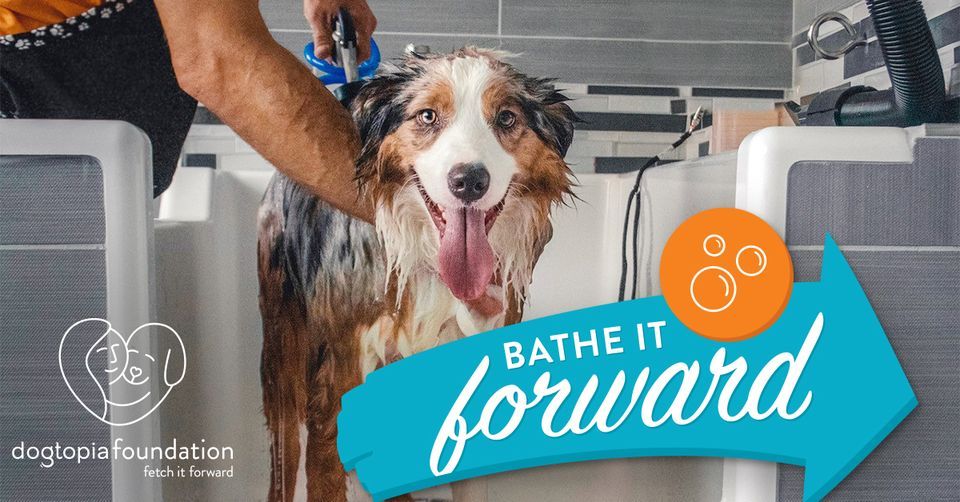 Bathe it Forward!, 7401 Fullerton Rd, Ste A, Springfield, VA, United ...