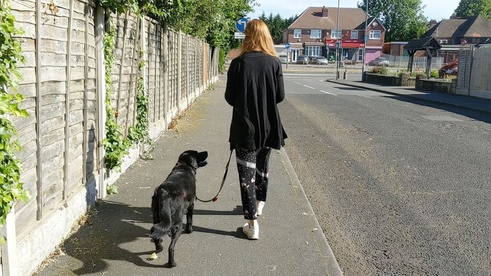 Intensive Walk Nicely course - Knockin , Knockin Village Hall, Oswestry ...
