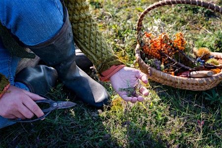 Fall Foraging Walk, Bradford West Gwillimbury Public Library, 3 October ...