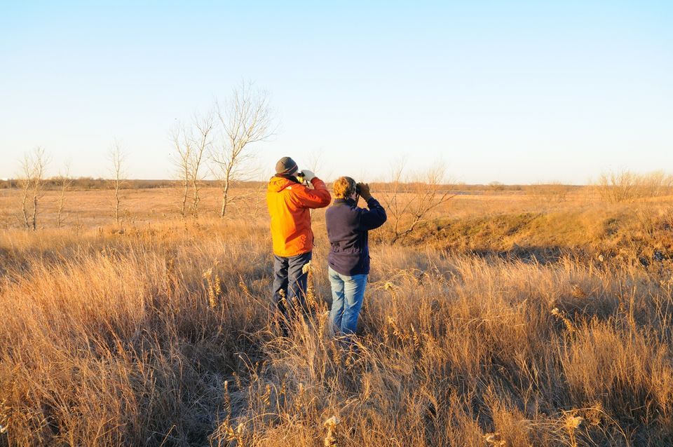 2nd Saturday Bird Walk, LLELA Nature Preserve, Lewisville, 13 January 2024 | AllEvents