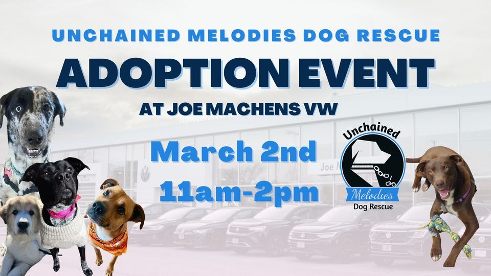 Adoption Event at Joe Machens VW , Joe Machens Volkswagen, Columbia ...