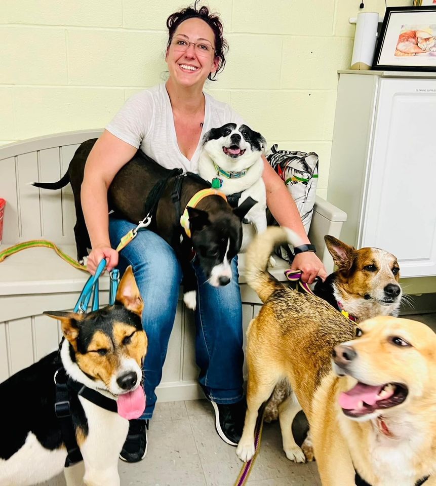 6th Annual Sandhills Dog Fair, The Pinehurst Arboretum, April 13 2024 ...