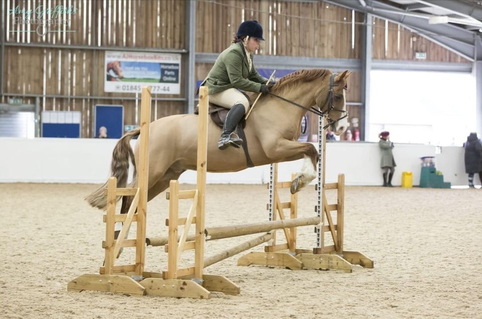 CANCELLED!!Fun Working Hunter Show Winter Series DOUBLE POINTS, Askham ...
