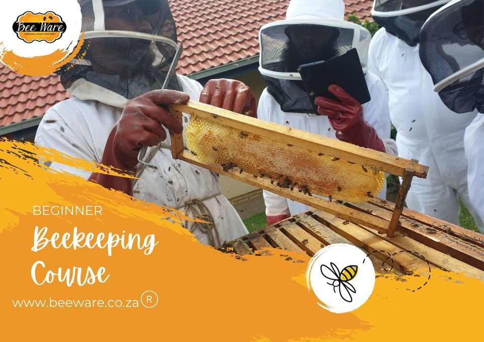 MIDRAND - Easy Buzzing Bee Course - Beginner, Midrand President Park ...