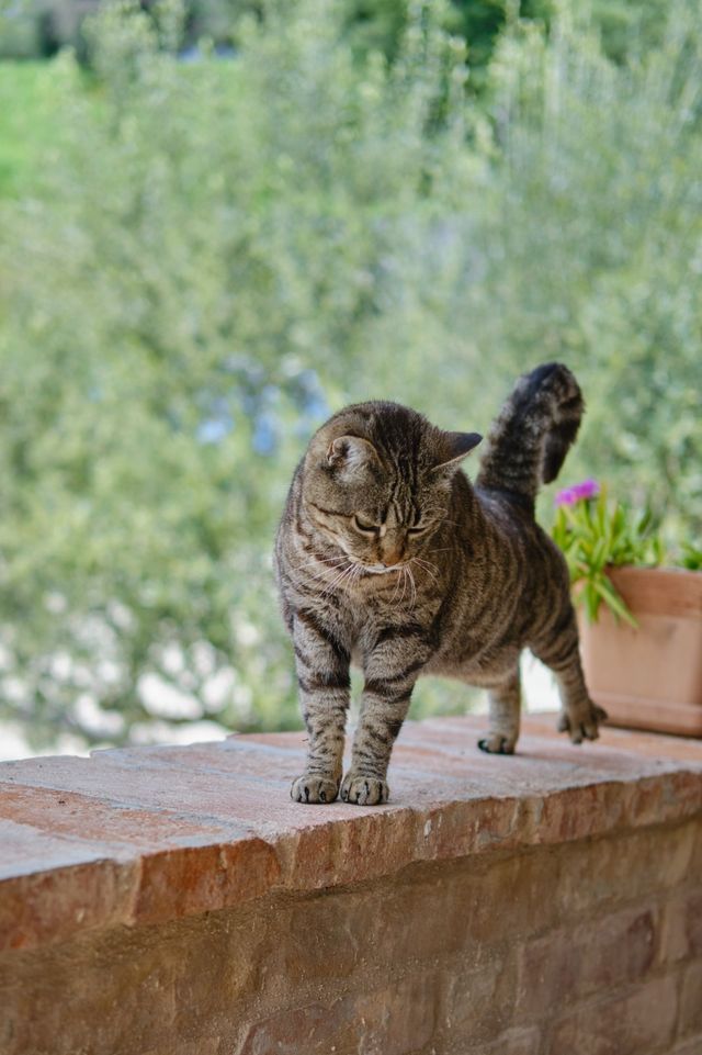 "FESTA DEL SOLSTIZIO & INTERNATIONAL YOGA DAY" , Monna Terra, Fermo, 21 ...